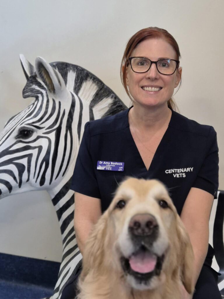 Meet Our Expert Brisbane Vet Team | Centenary Vets